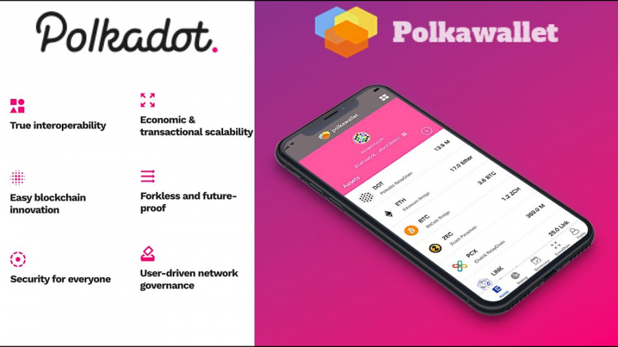 معرفی بهترین کیف پول های پولکادات (5 کیف پول برتر 2024)